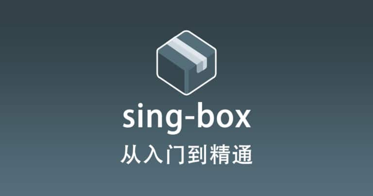 2025最新 sing-box 使用教程快速入门篇